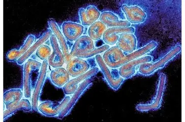 Ghana on high alert as deadly Marburg virus emerges in Ethiopia